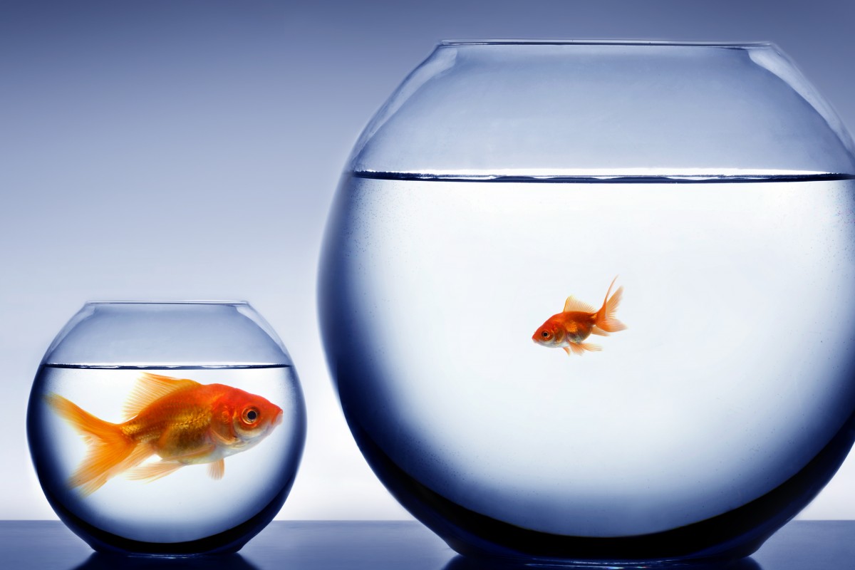 Η αδικία που πληγώνει! - Το Περιοδικό μου